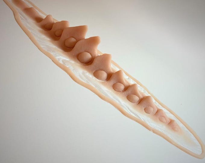 The Alien Spine Sci Fi Silicone Prosthetic SFX Make Up - Etsy UK