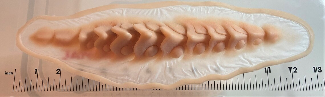 The Alien Spine Sci Fi Silicone Prosthetic SFX Make up - Etsy