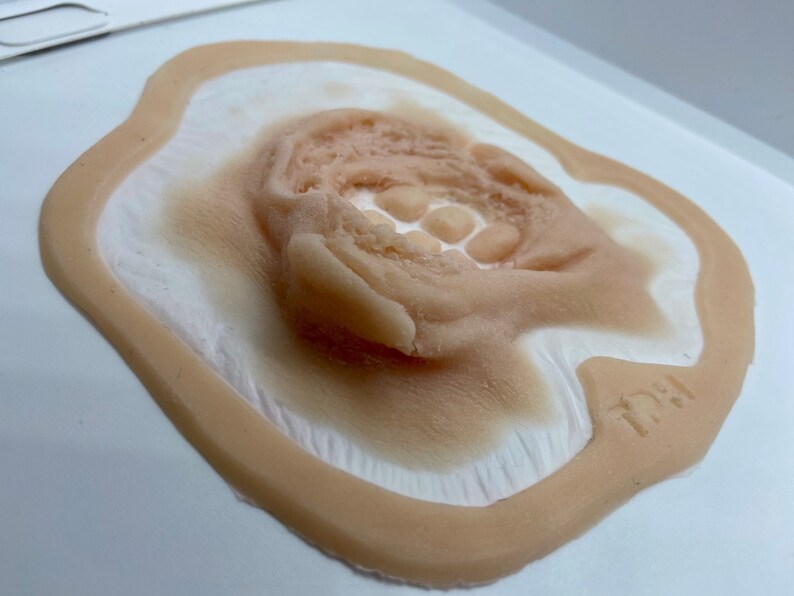 The Ripped Mouth 1 Silicone Zombie Prosthetic SFX Make Up - Etsy