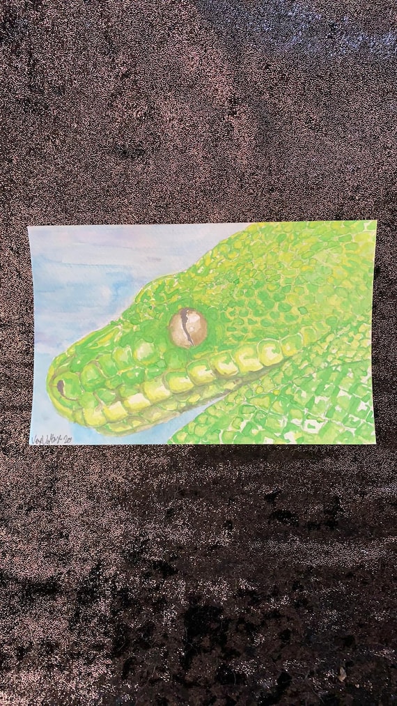 Watercolor Painting Emerald Tree Boa Snake Watercolor Art ...