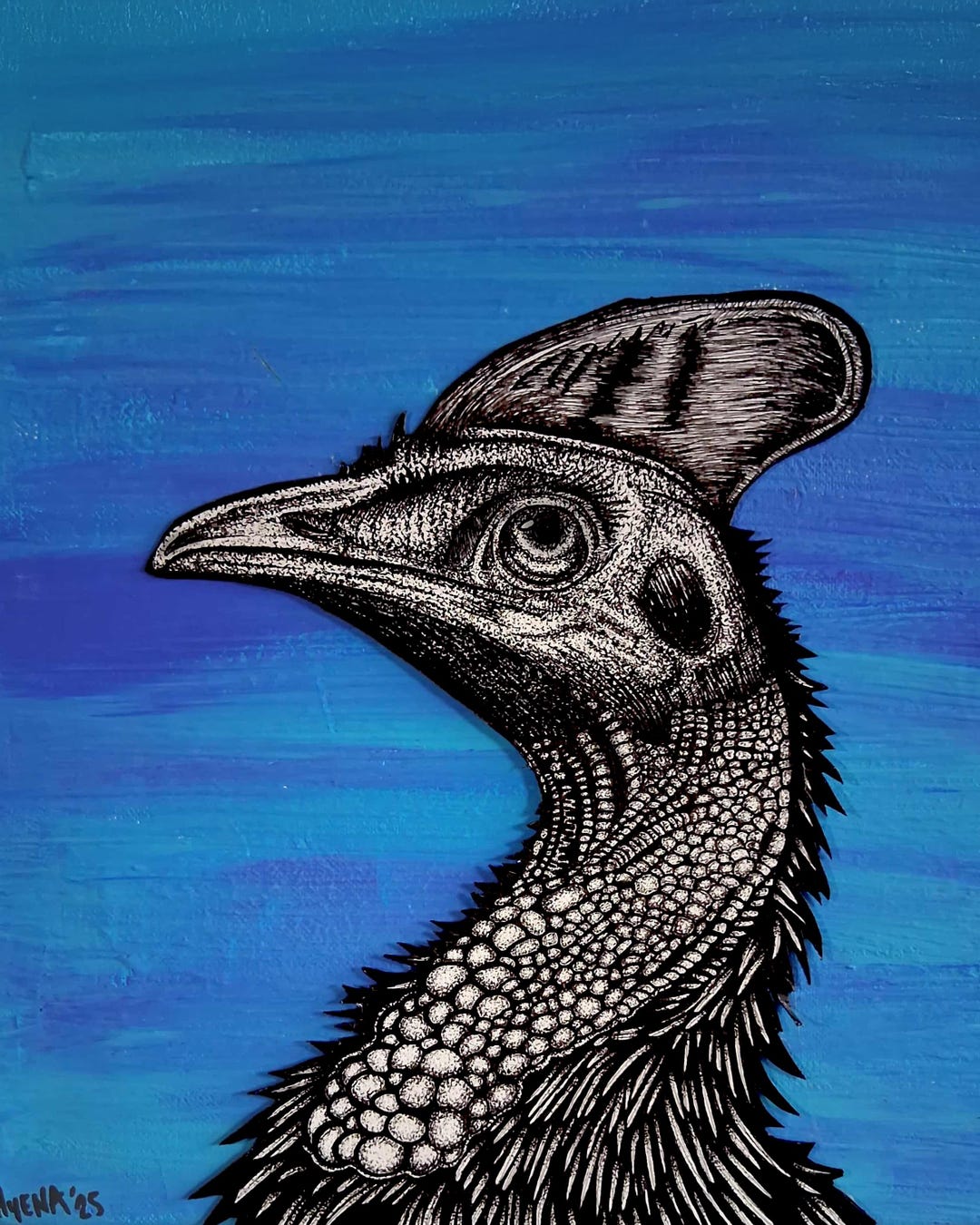 Cassowary - 8x10 Print - Etsy