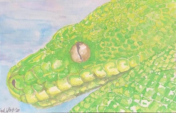 Watercolor Painting Emerald Tree Boa Snake Watercolor Art ...
