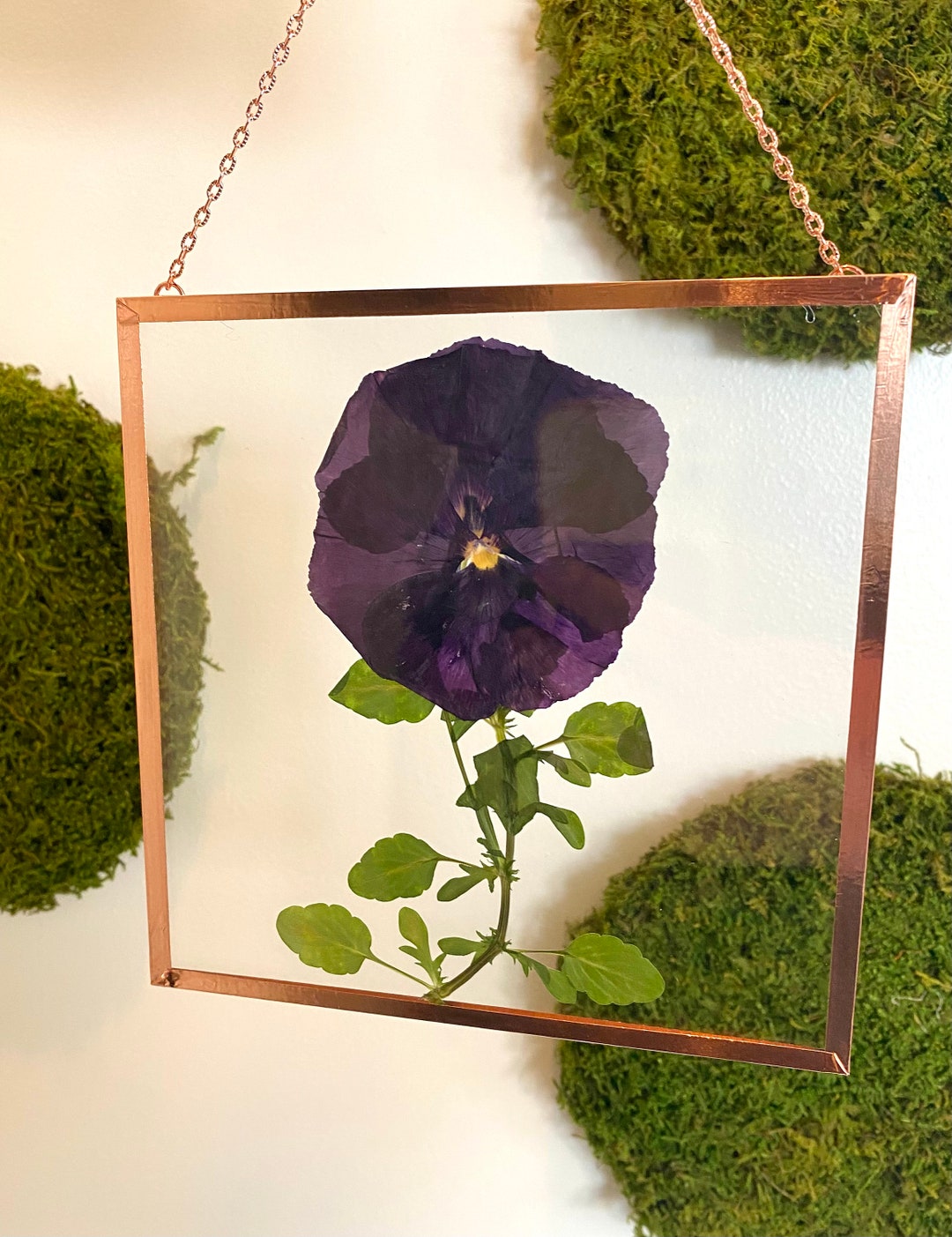 Pressed Flower Frame | 6x6 Frame - Etsy