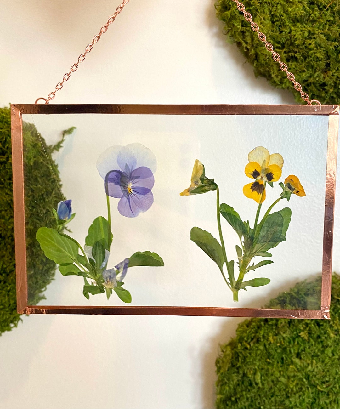 Pressed Flower Frame 4x6 Hanging Frame - Etsy