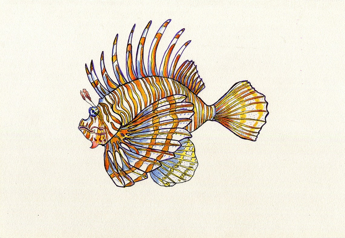 Lionfish / Beautiful Wall Art / Wall Decor/ Original Artwork - Etsy