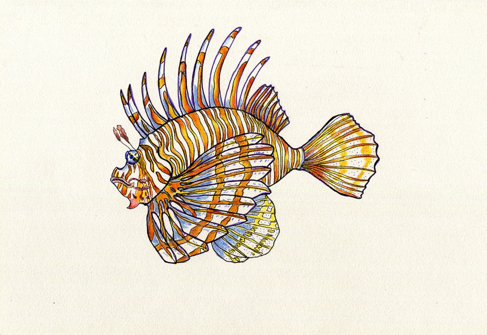 Lionfish / Beautiful Wall Art / Wall Decor/ Original Artwork - Etsy