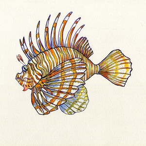 Lionfish / Beautiful Wall Art / Wall Decor/ Original Artwork - Etsy