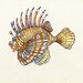 Lionfish / Beautiful Wall Art / Wall Decor/ Original Artwork - Etsy