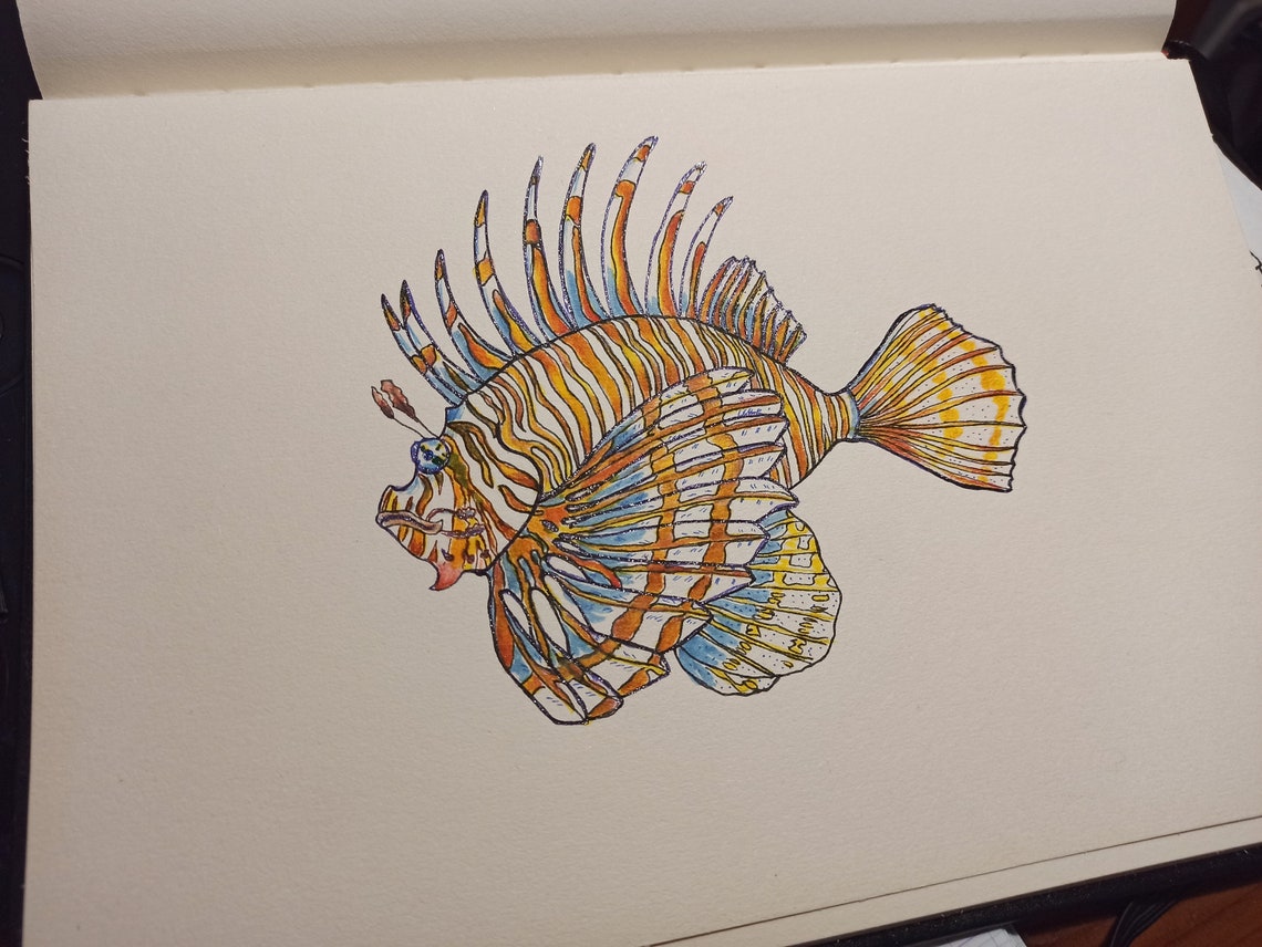 Lionfish / Beautiful Wall Art / Wall Decor/ Original Artwork - Etsy