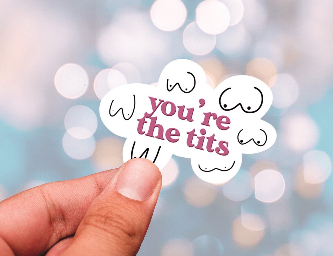 You’re the Tits, Funny Breastfeeding Sticker, Mother’s Day Gift for New ...
