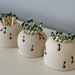 Seconds Sale Cherry Ceramic Match Striker With Matches - Etsy