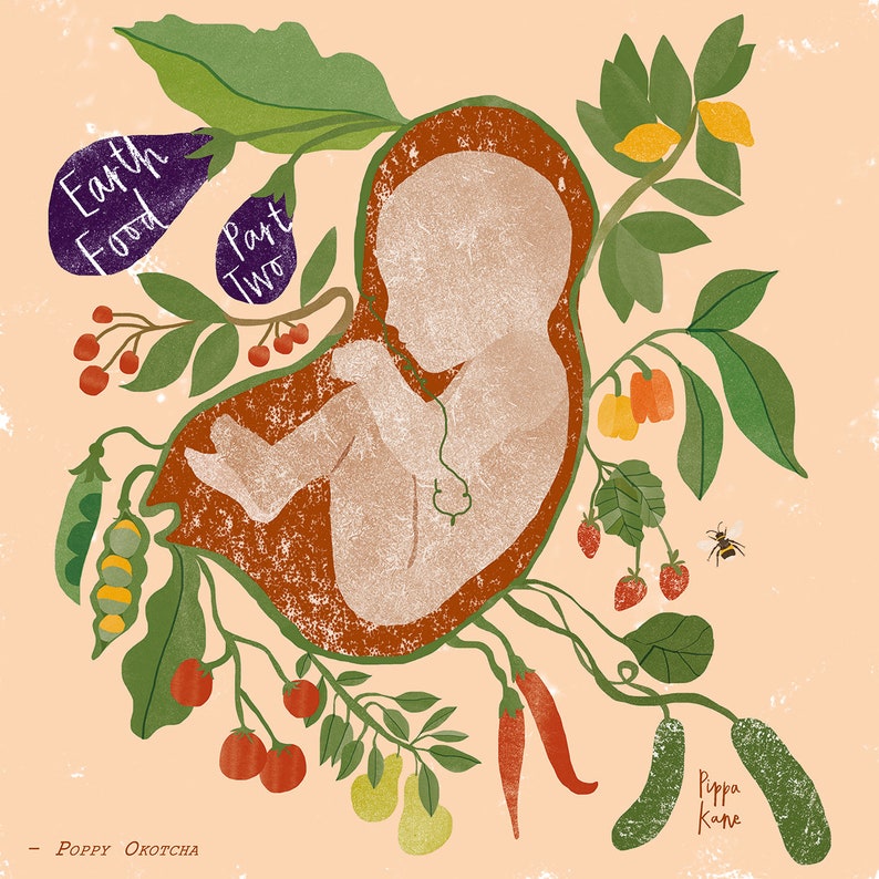 Earth Food | A Simple Guide to Composting, Growing Life From 'waste ...