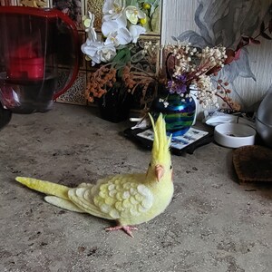 Lutino Cockatiel Wool Sculpture - Etsy