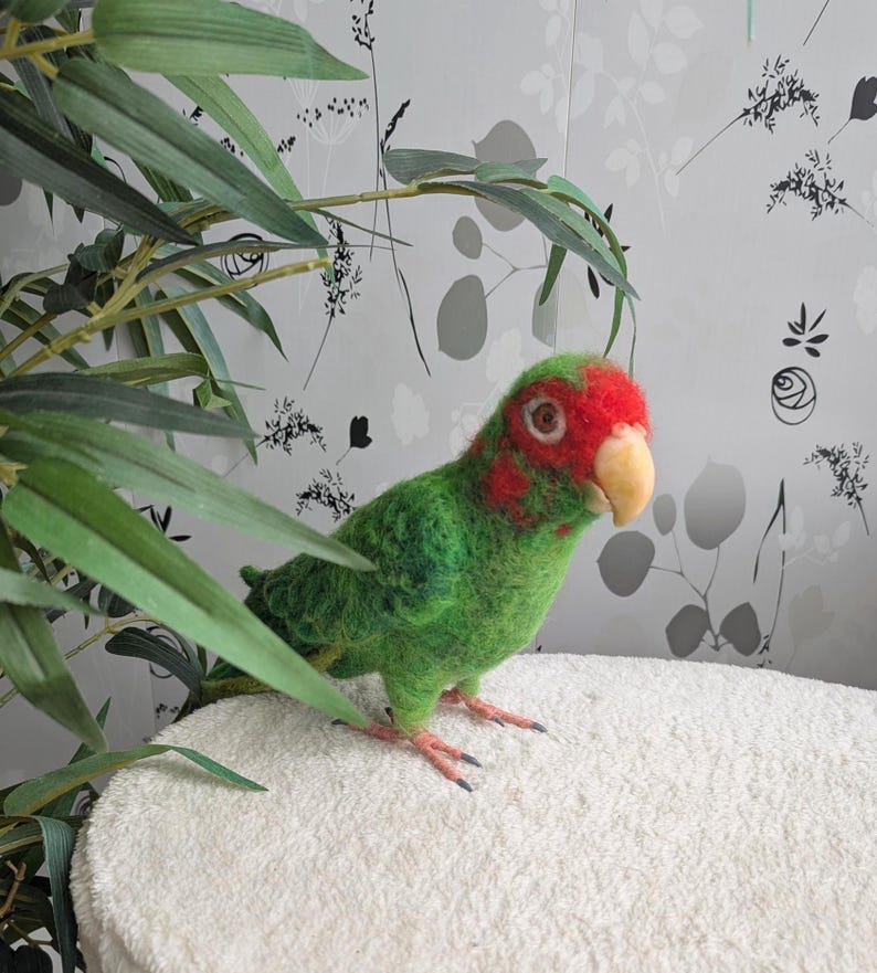 Mitred Conure Wool Sculpture: Custom Parrot Memorial - Etsy