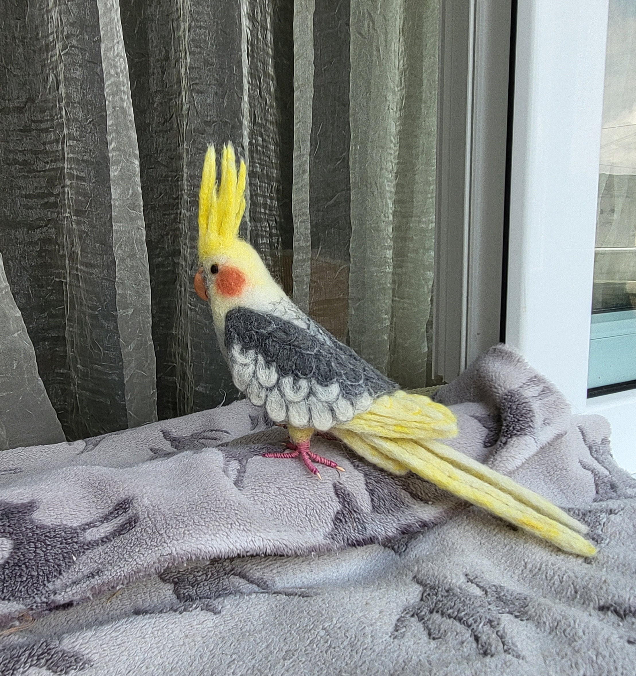 Pied Cockatiel Wool Sculpture - Etsy
