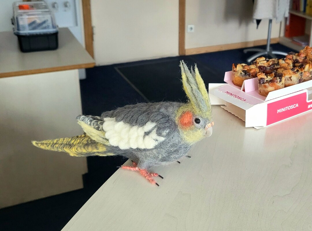 Cockatiel Chick Wool Sculpture - Etsy