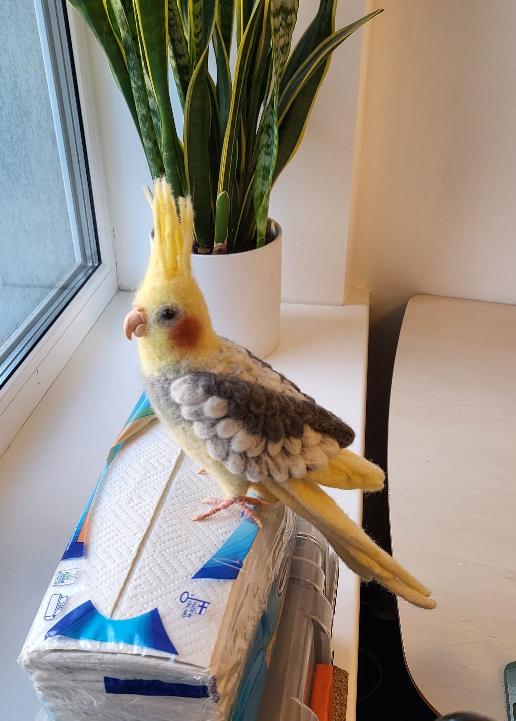 Pied Cockatiel Wool Sculpture - Etsy