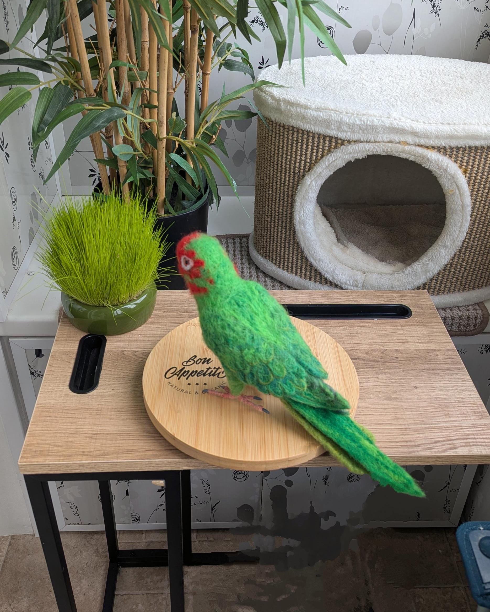 Mitred Conure Wool Sculpture: Custom Parrot Memorial - Etsy