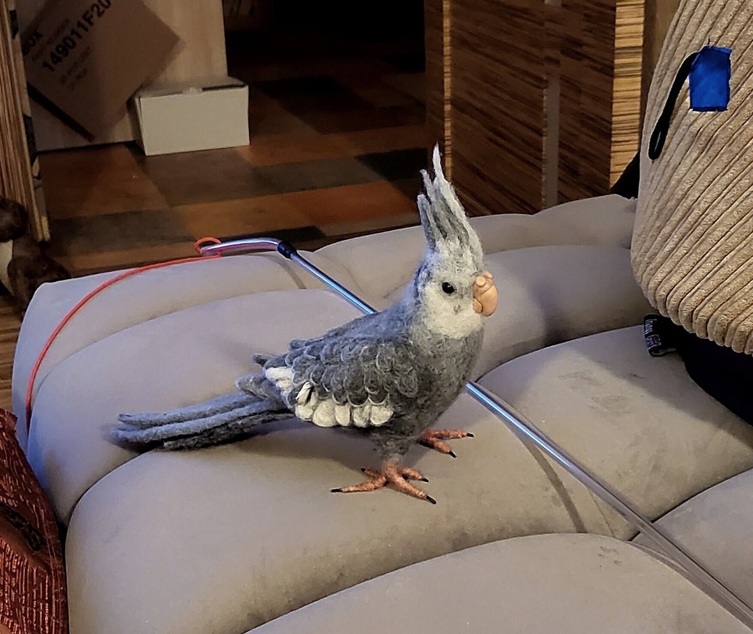 White Face Cockatiel Wool Sculpture - Etsy