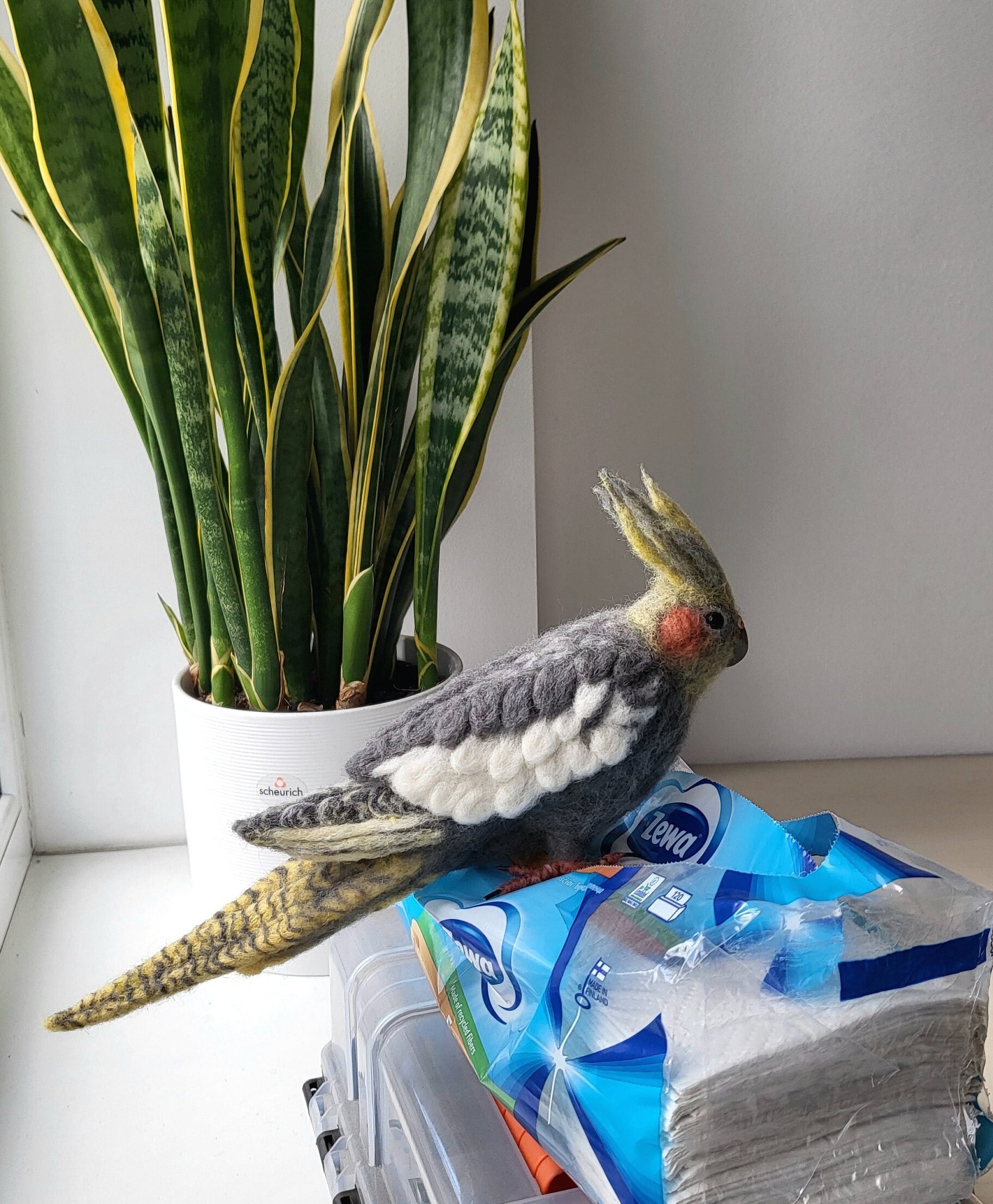 Cockatiel Chick Wool Sculpture - Etsy