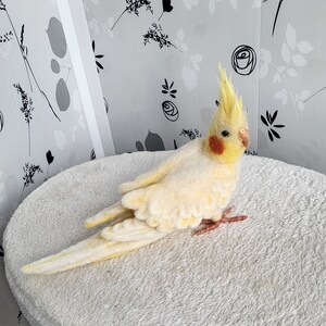 Lutino Cockatiel Wool Sculpture - Etsy