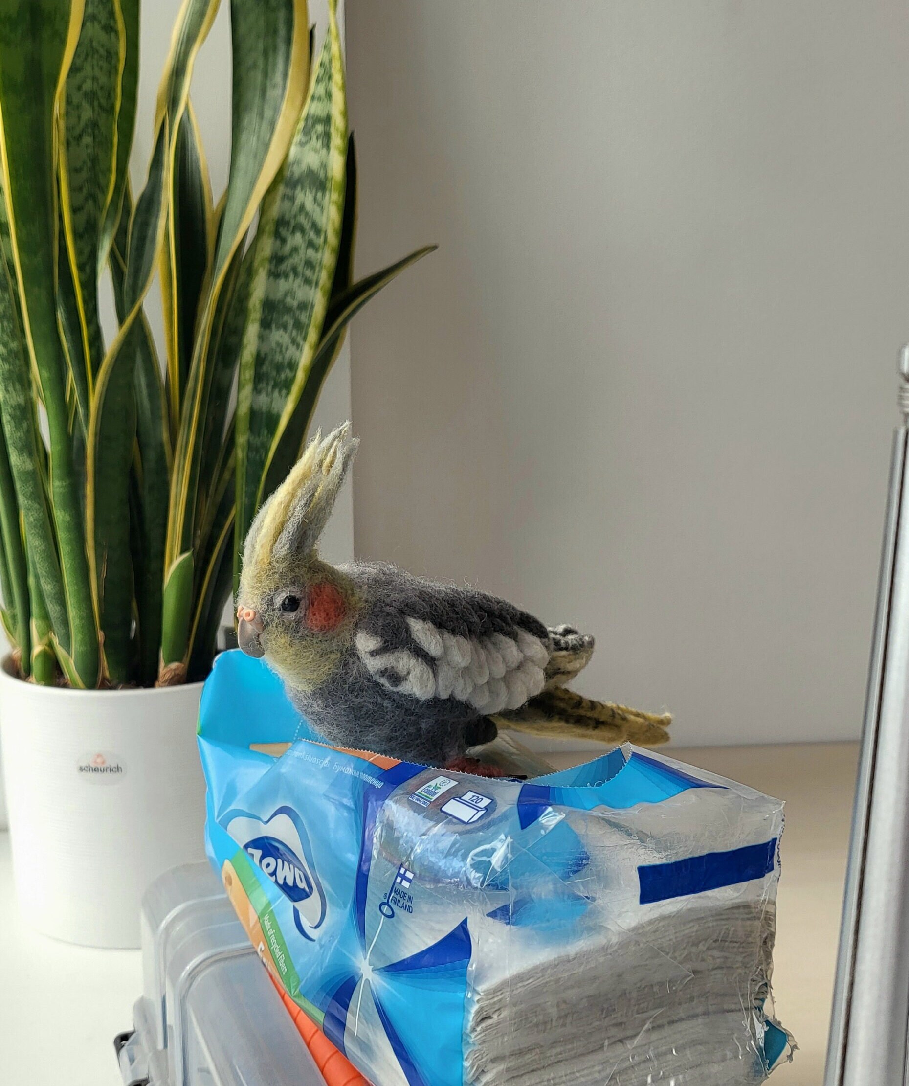 Cockatiel Chick Wool Sculpture - Etsy