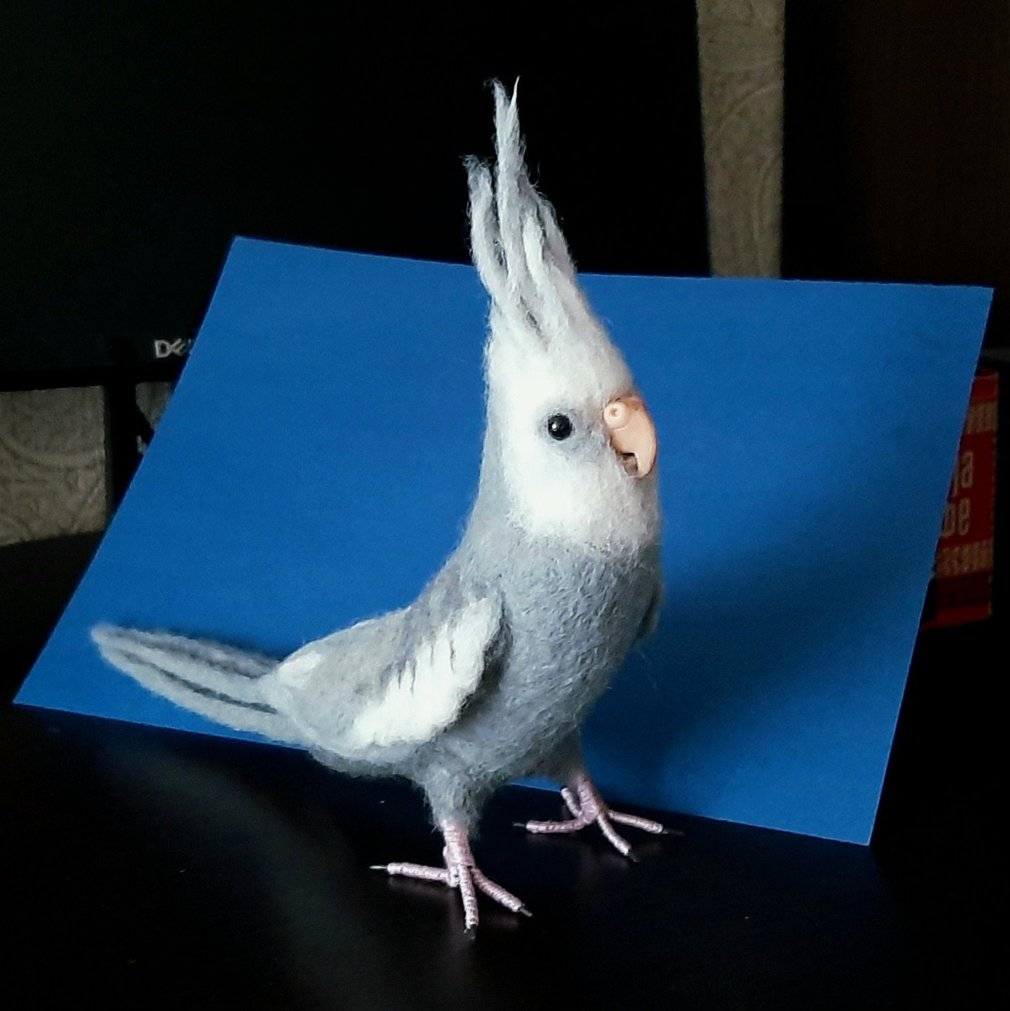 Cockatiel Bird White Face