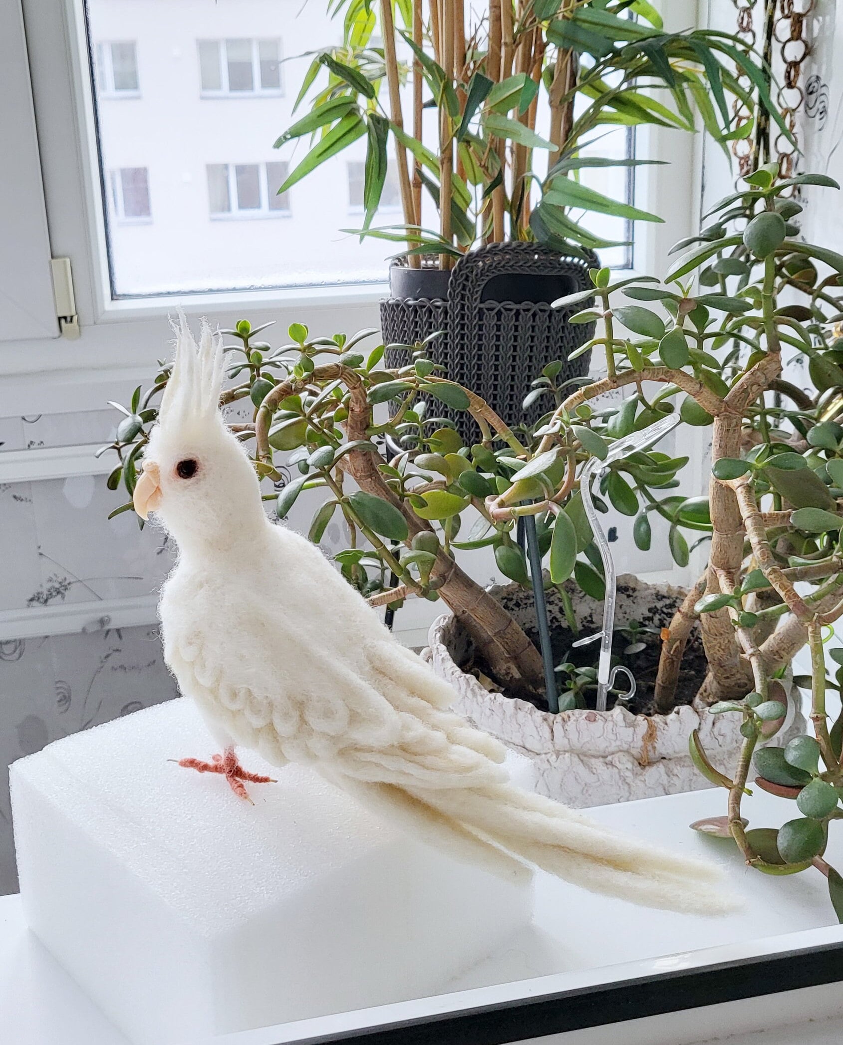 Albino Cockatiel Wool Sculpture - Etsy