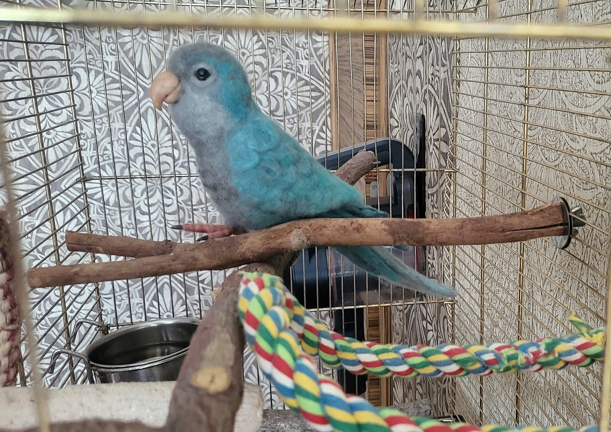 Blue Quaker Parrot Wool Sculpture - Etsy