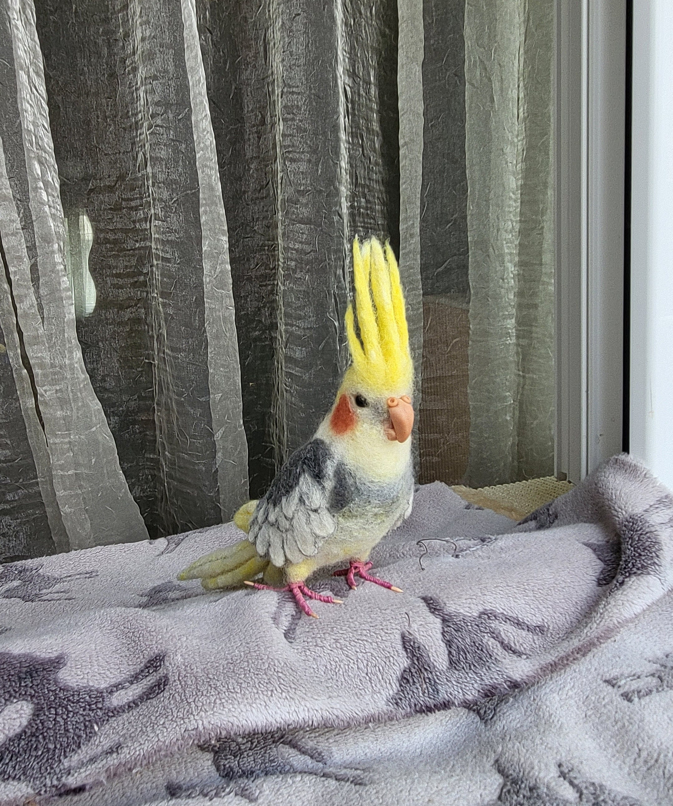 Pied Cockatiel Wool Sculpture - Etsy