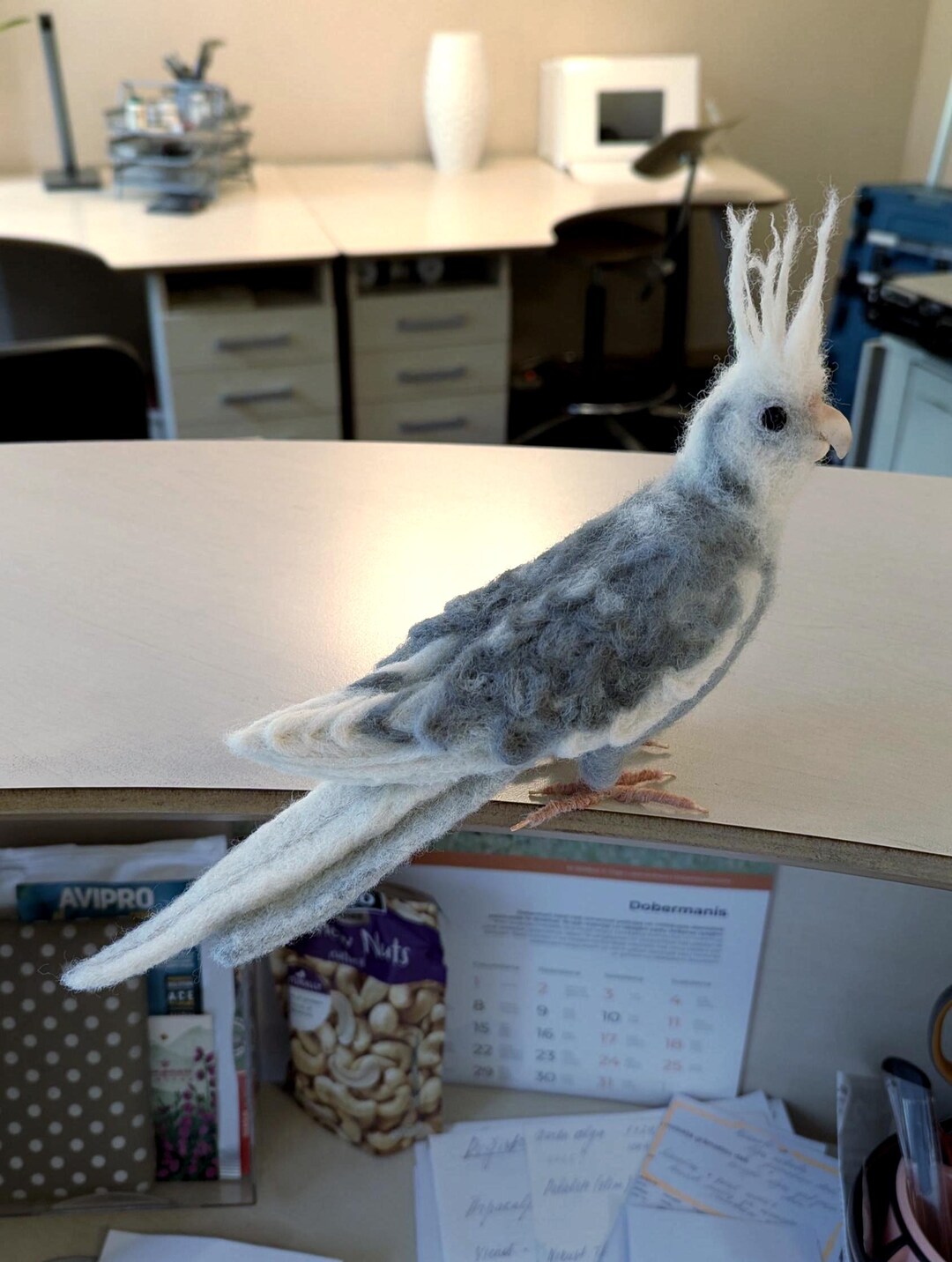 Cockatiel Replica White-grey Without Cheeks - Realistic Wool Sculpture ...