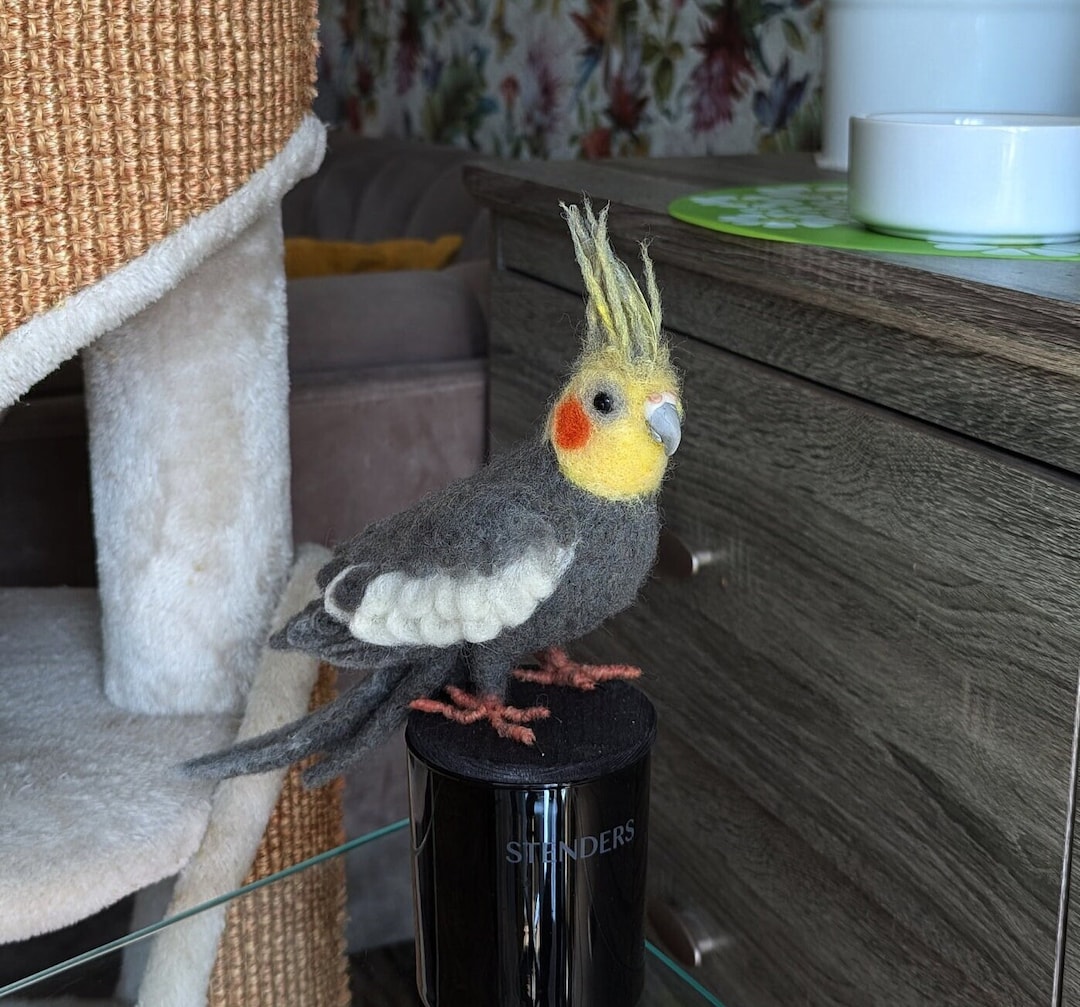 Replica Cockatiel - Wool Sculpture. Parrot Replica. Custom Pet Replica ...