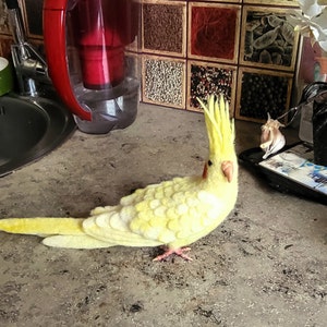 Lutino Cockatiel Wool Sculpture - Etsy