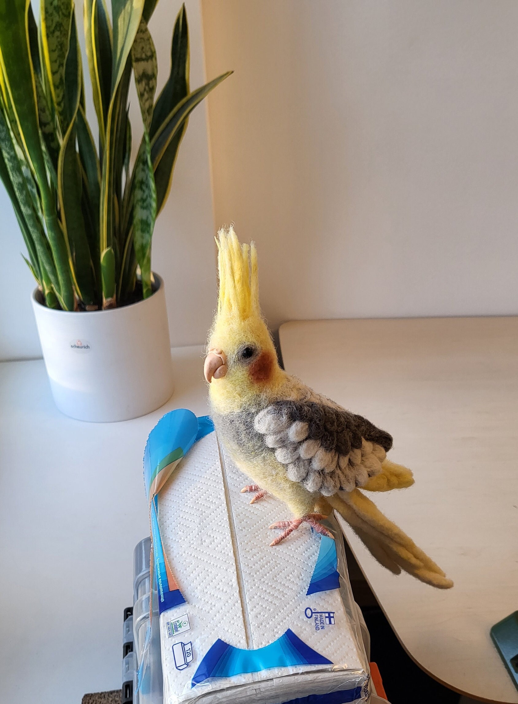 Pied Cockatiel Wool Sculpture - Etsy