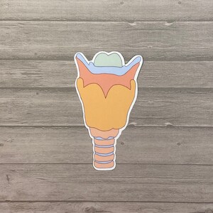 SLP Larynx Trachea Sticker Speech Therapy Gifts - Etsy