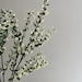Cream Faux Berry Branches, Artificial Berry Branches, Artificial ...