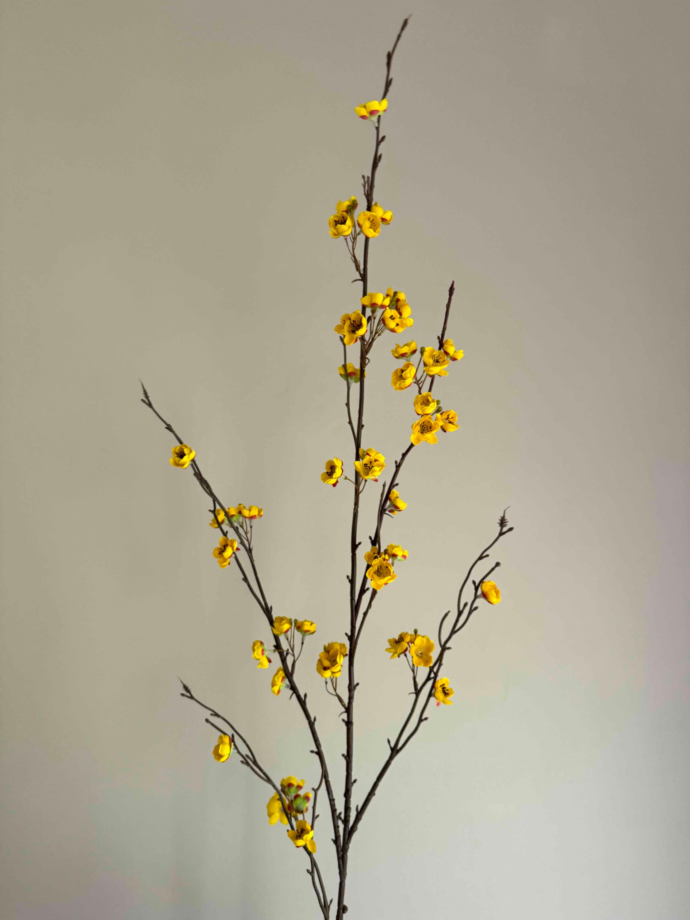 130cm Tall White Cherry Blossoms, Faux Blossoms, Artificial Blossoms ...