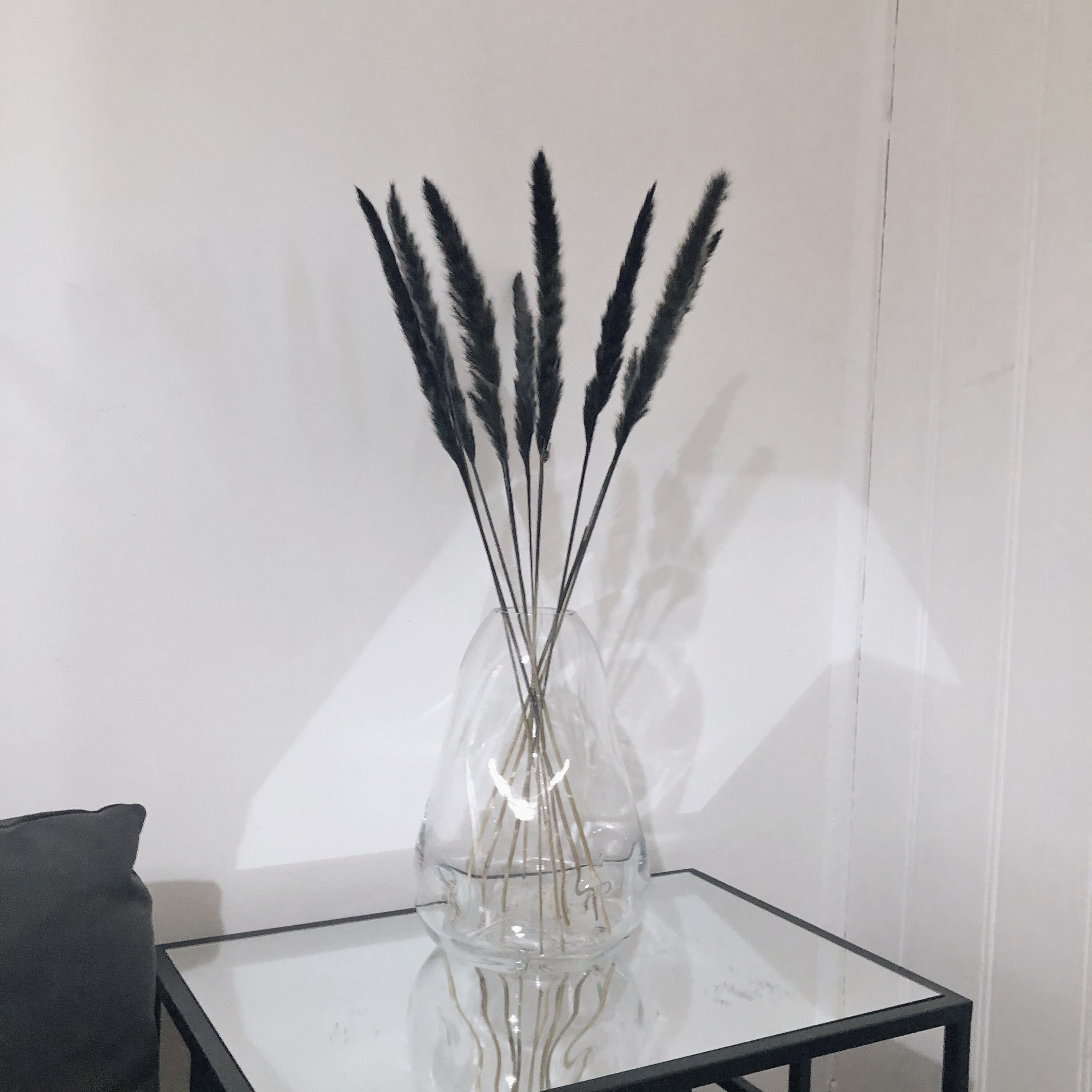 Ash Black Reed Pampas Grass for Home Decor UK Black Pampas - Etsy