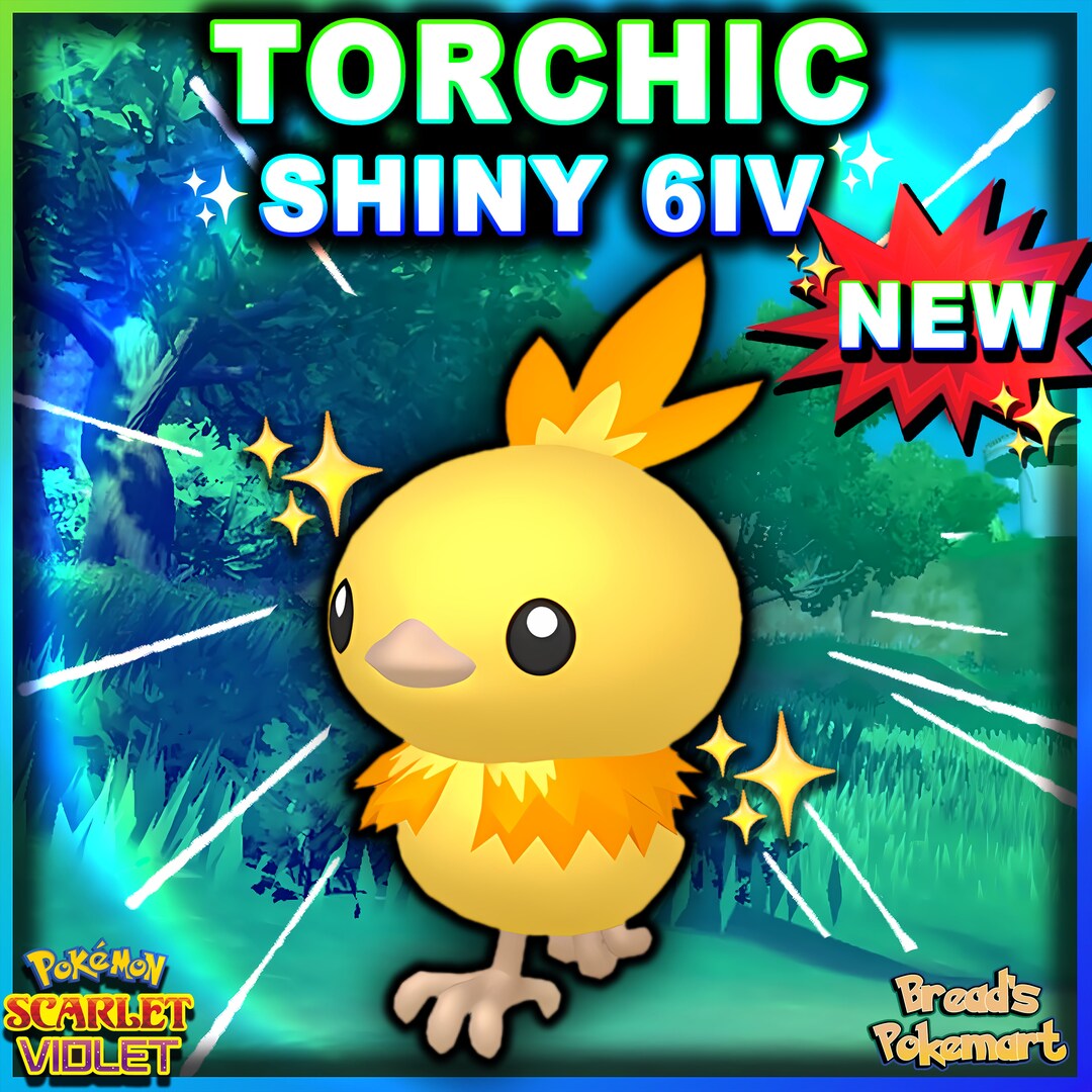 SHINY 6IV TORCHIC / Pokemon Scarlet and Violet / Lv1 Hoenn - Etsy