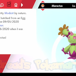 Ultra Shiny 6IV MARACTUS // Pokemon Sword and Shield // Lv100 ...