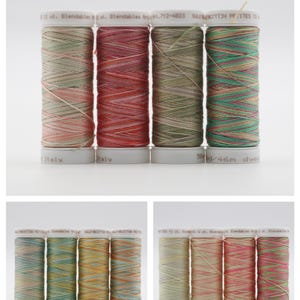 Sulky Blendables Cotton Thread Bundle: 12wt Embroidery, Quilting, Cross ...