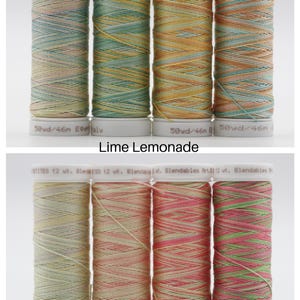 Sulky Blendables Cotton Thread Bundle: 12wt Embroidery, Quilting, Cross ...