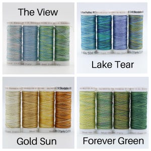 Sulky Blendables Cotton Thread Bundle: 12wt Embroidery, Quilting, Cross ...