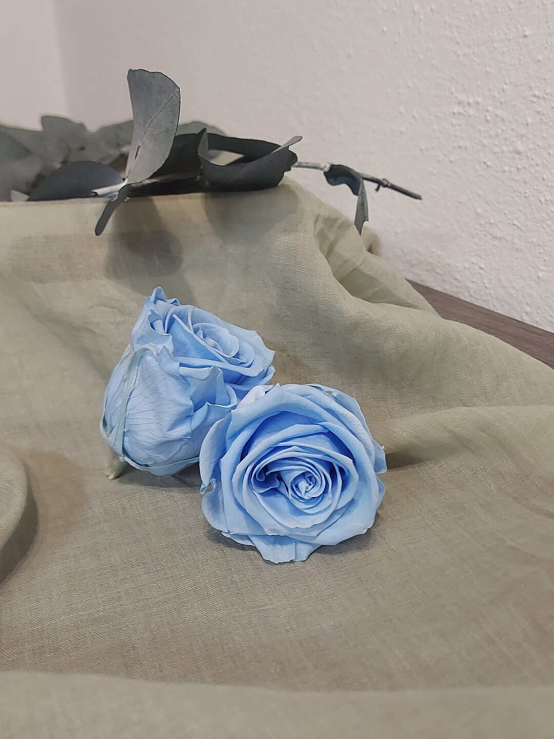Infinity Rose Head Blue baby Blue 6 Cm Stabilized - Etsy