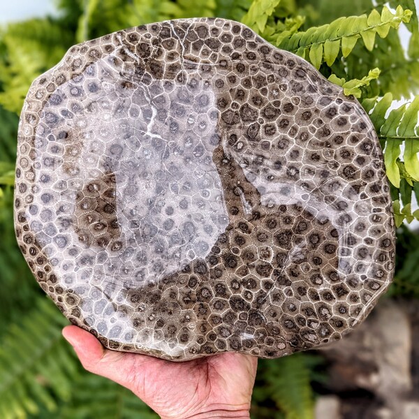 Holy Grail Stone - Etsy