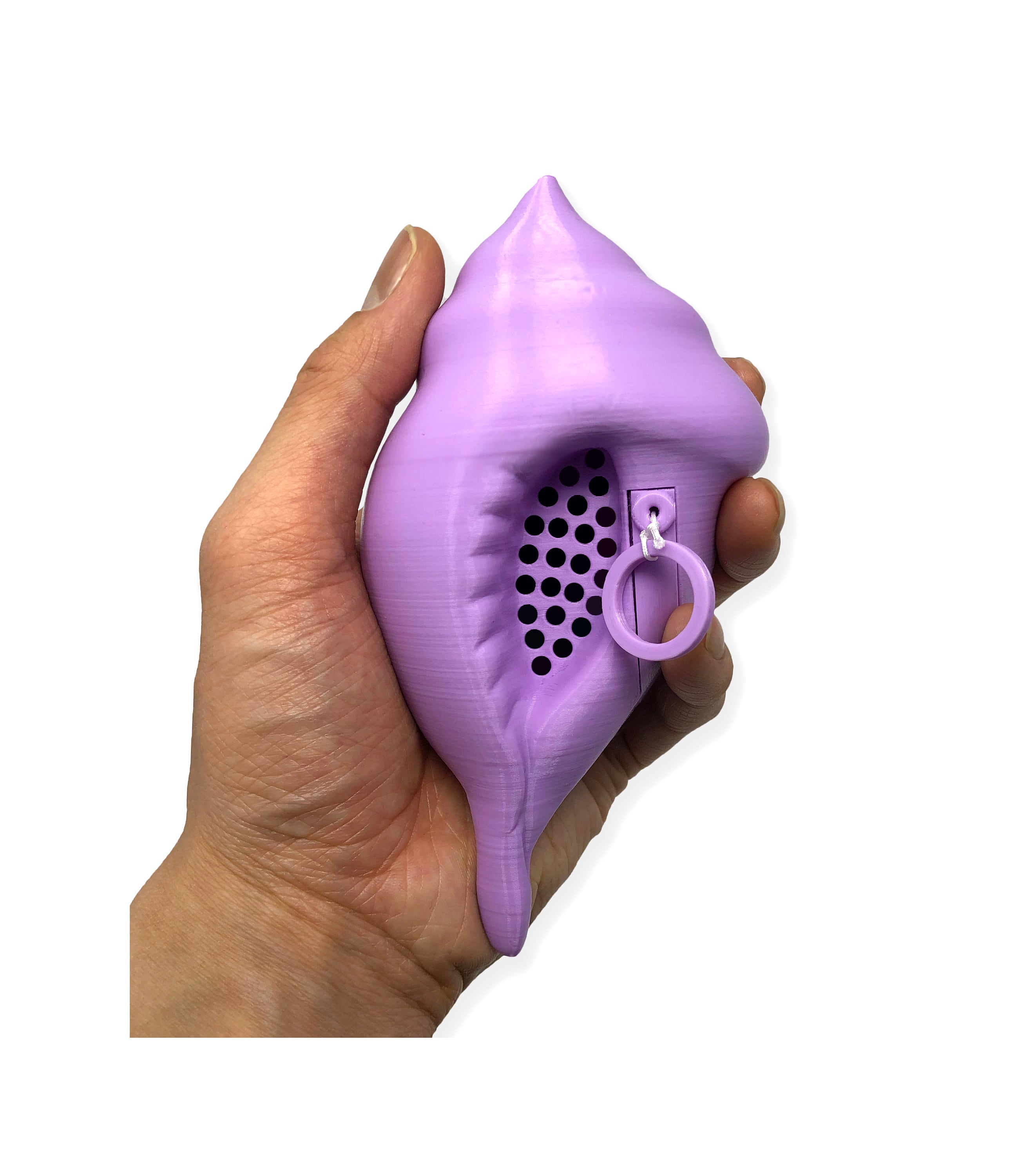 Magic Conch Shell Toy