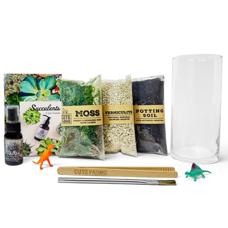 Terrarium Kit - Etsy