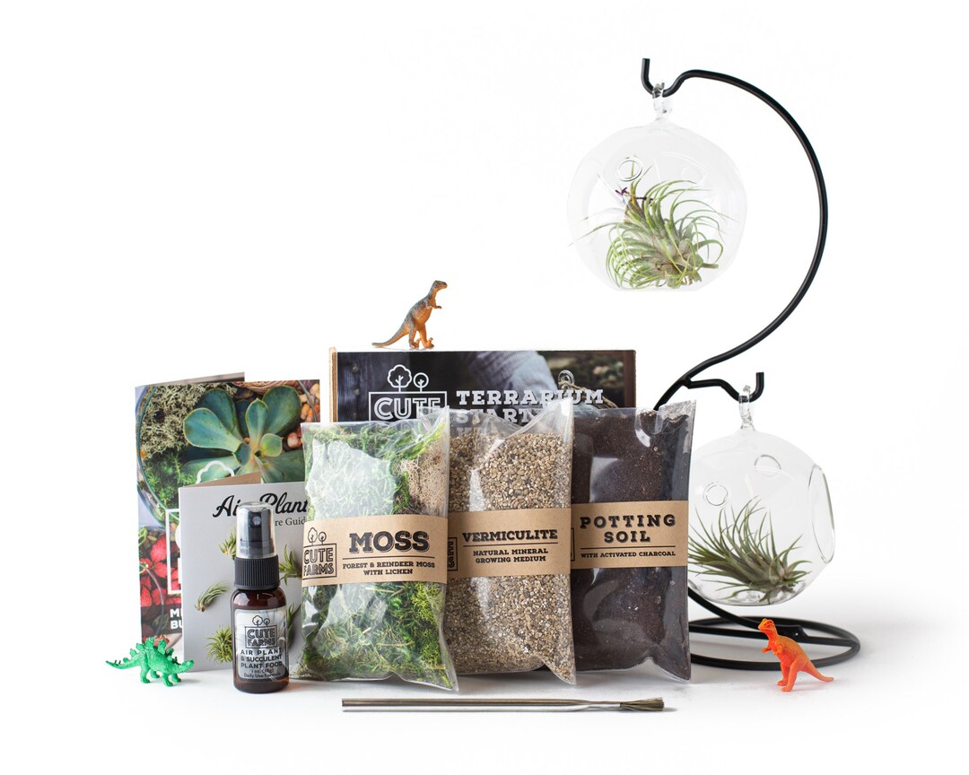 Terrarium Starter Kit DIY With Two Hanging Glasses and - Etsy