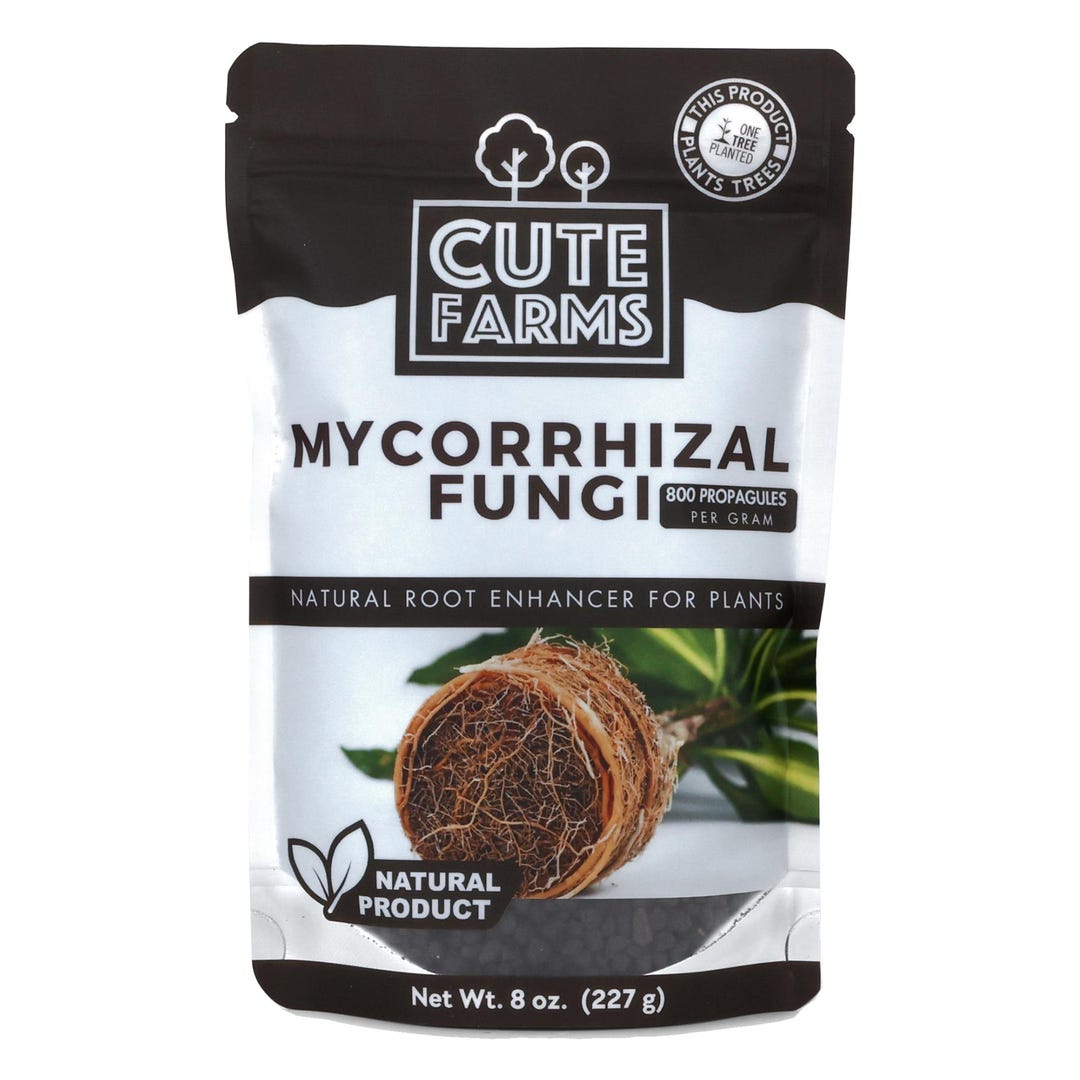 Mycorrhizal Fungi – Root Booster for Stronger, Healthier Plants - Etsy