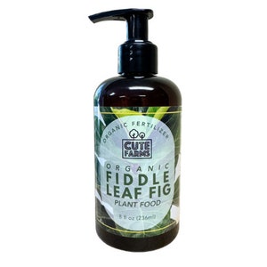 Organic Fiddle Leaf Fig Plant Food - Etsy